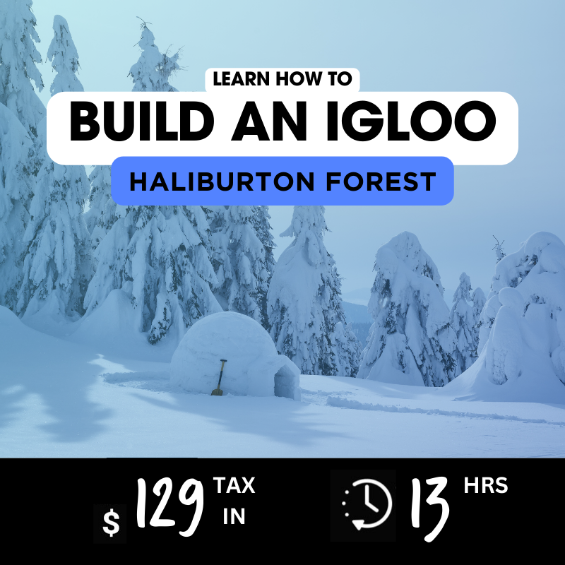 Learn how to build an Igloo – Northbound tours