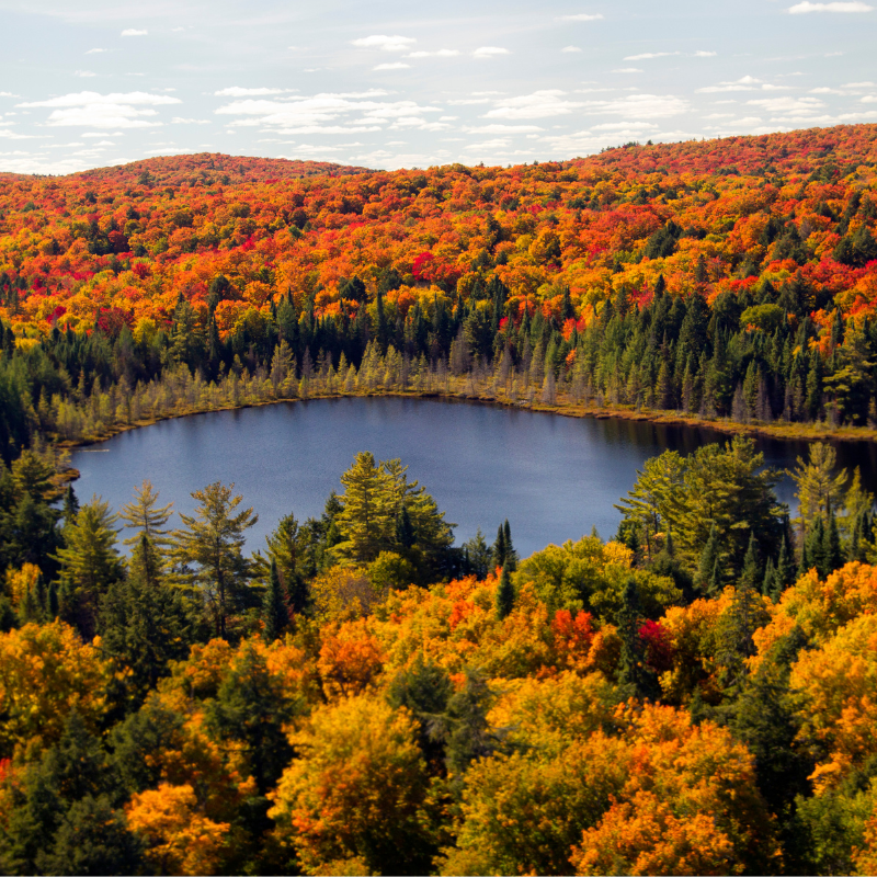 Fall Colors In Algonquin Park + Ragged Falls – Northbound tours