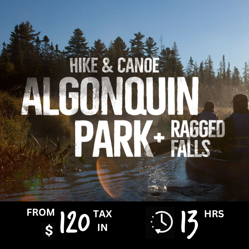 Algonquin Park + Ragged Falls – Northbound tours