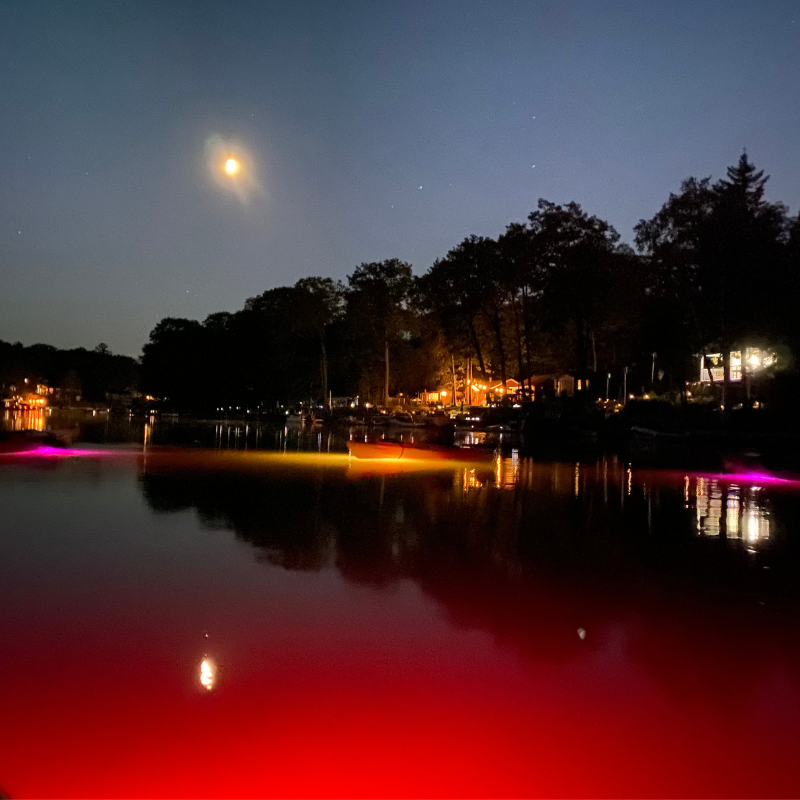 Wasaga Beach Day Trip + Glow in the Dark Kayaking Adventure ...
